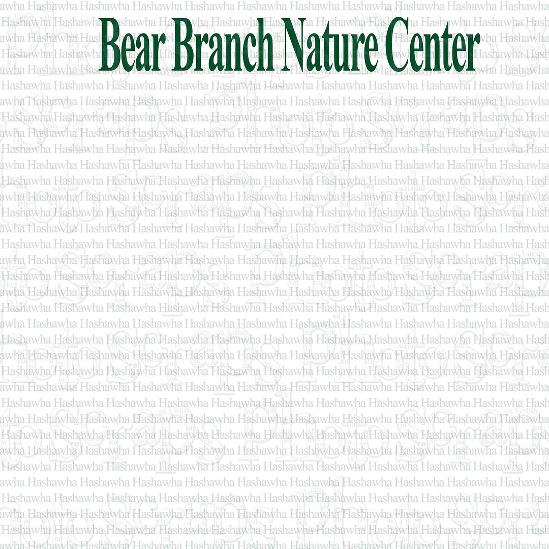 Bear Branch – Photo Scraps