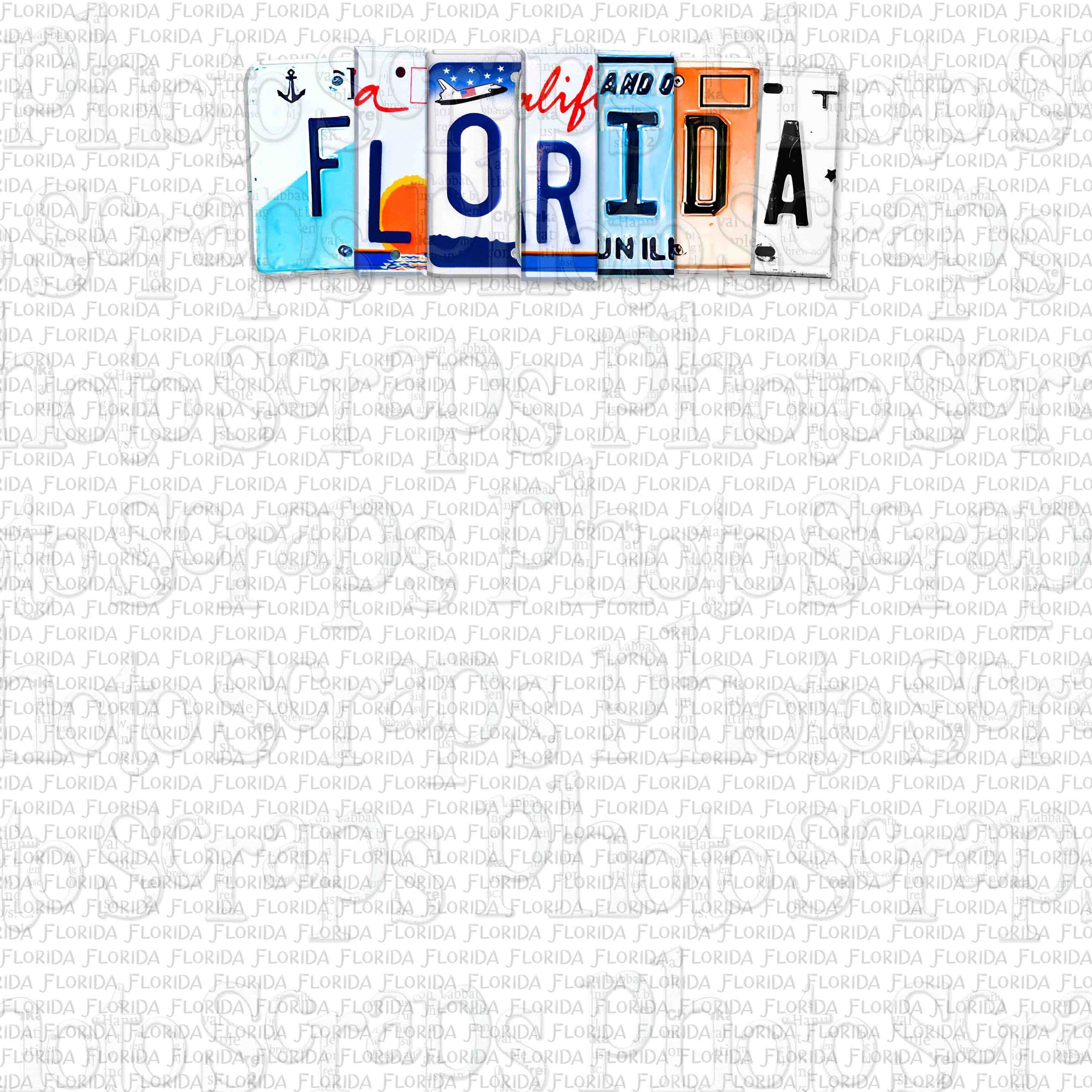Florida State License Plate Title Paper – Photo Scraps