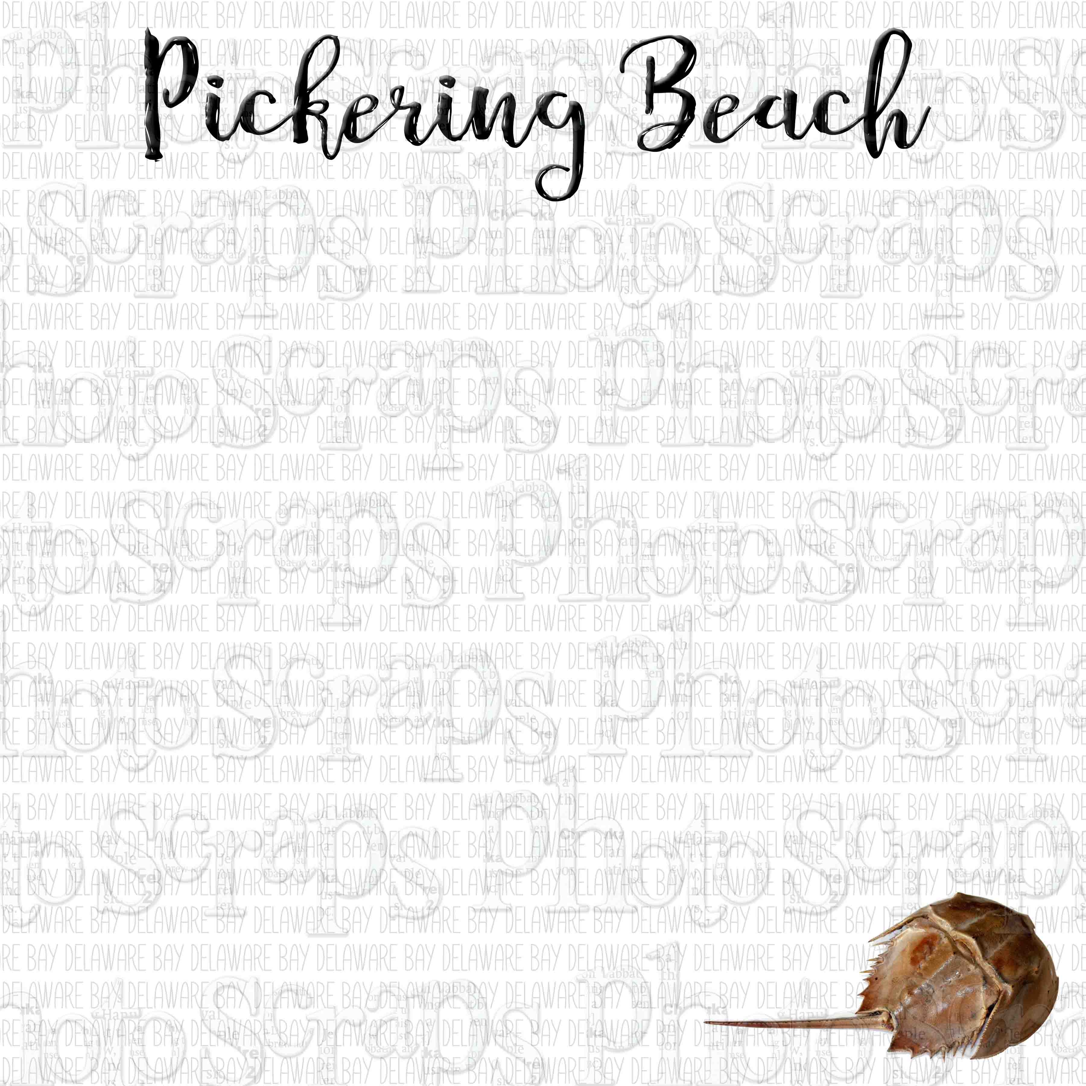 Pickering Beach Delaware Bay Repeating Paper – Photo Scraps