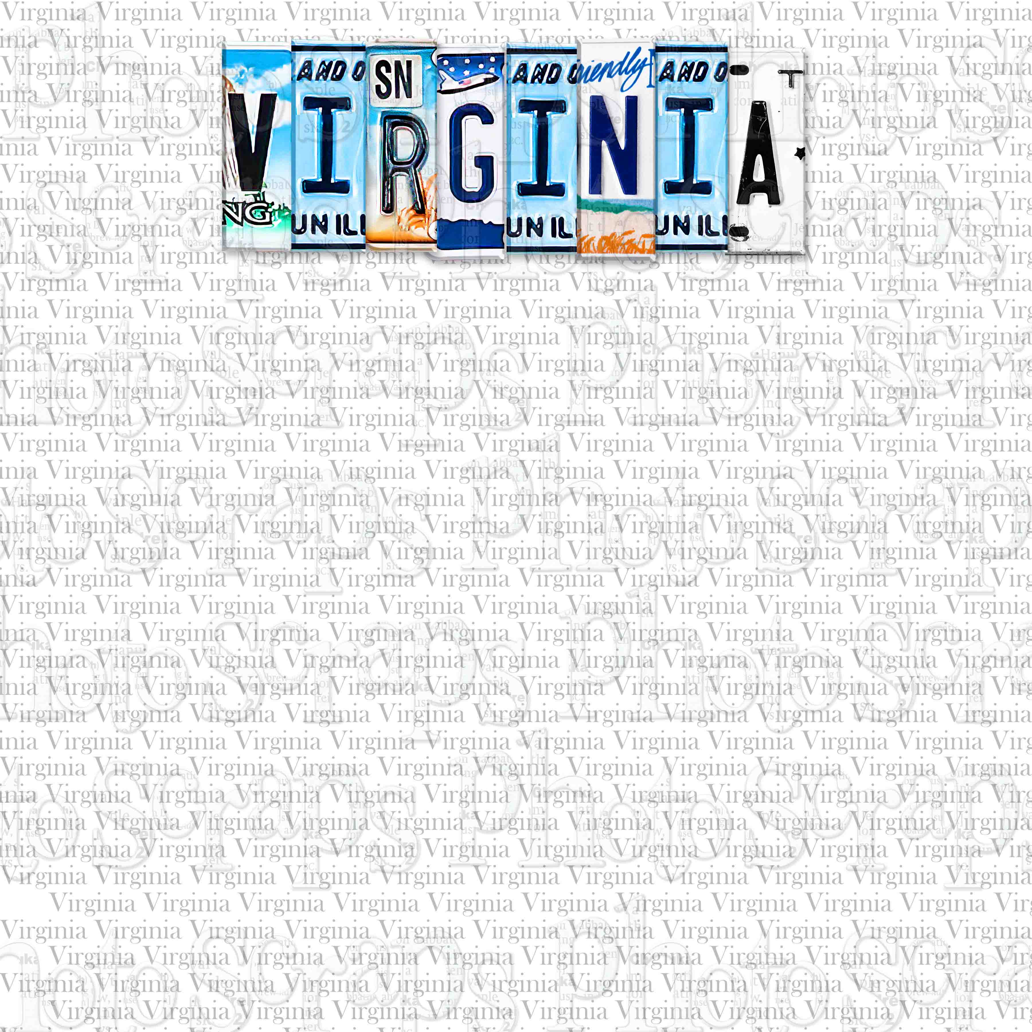 Virginia State License Plate Title Paper – Photo Scraps